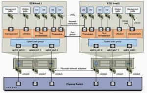 Static Binding vs Ephemeral in VMware vSphere Distributed Switch