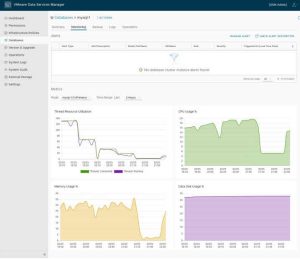 What's VMware Data Services Manager