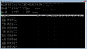 NUMA and vNUMA: Back to the Basics for Better Performance